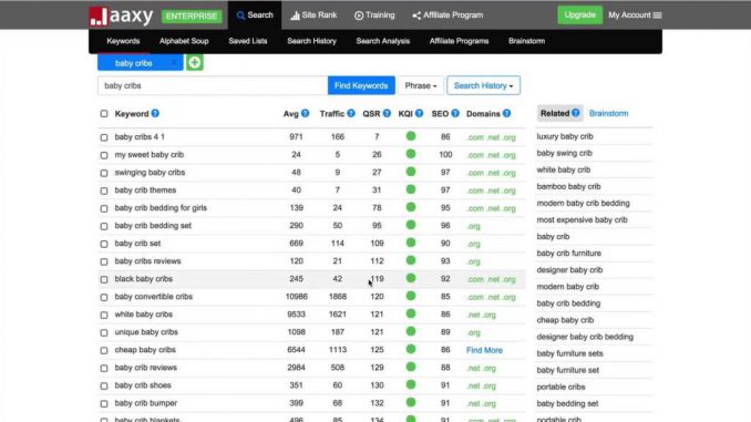 Jaxxy Review-Find Keywords for Your Website | The Independent Lifestyle