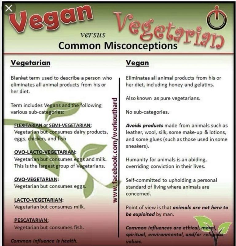 Vegans vs Vegetarians | The Independent Lifestyle